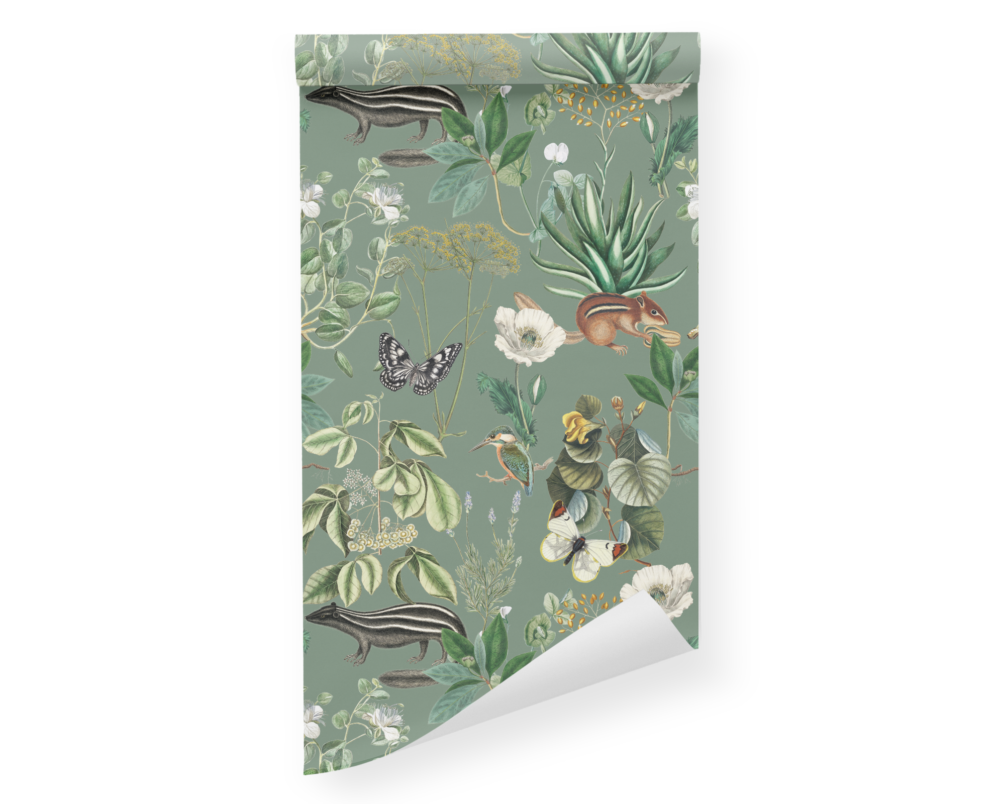 Classic Nature Peel And Stick Removable Wallpaper | Love vs. Design