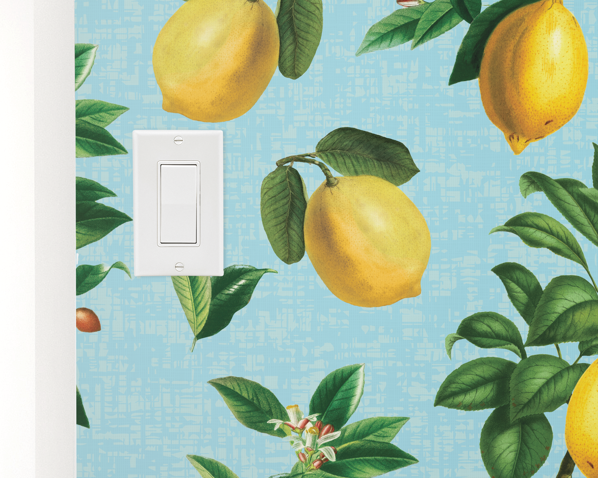 Retro Lemon Peel And Stick Removable Wallpaper | Love vs. Design